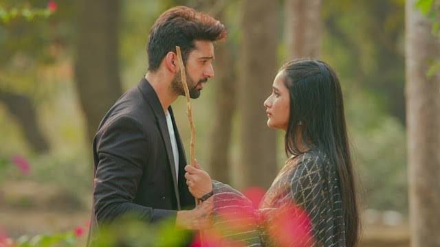 Rajjo: Arjun, Rajjo's sweet love union twist, Pushkar's end game climax ...