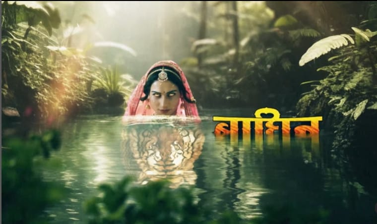 From Aneri Vajane to Krip Suri, these actors are making a comeback with Star Bharat's Baghin ...