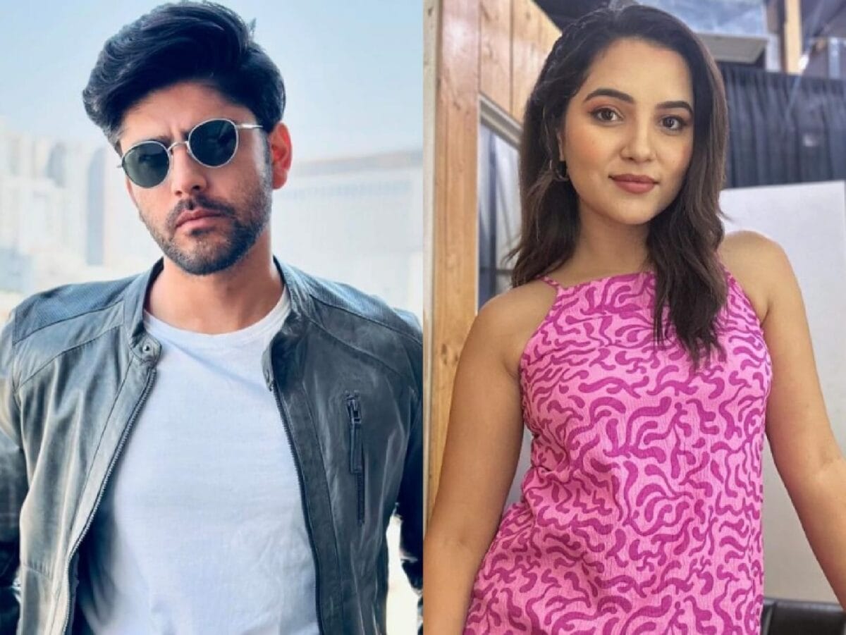 Abhishek Sharma and Priya Thakur to play the leads in Zee TV's next Vashundra - JustShowBiz