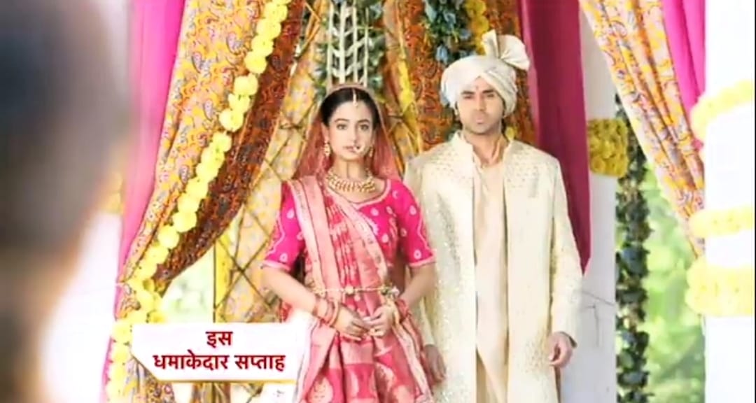 Anupama: Shocking! Anupama gets Aryan, Mahi married in temple ...